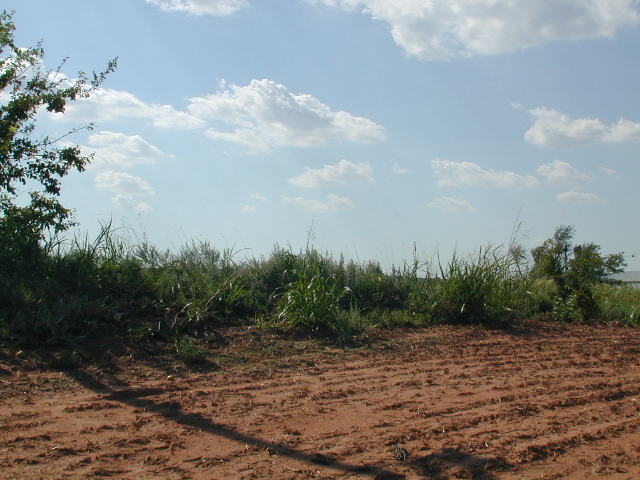 ARS Station Information | ARS